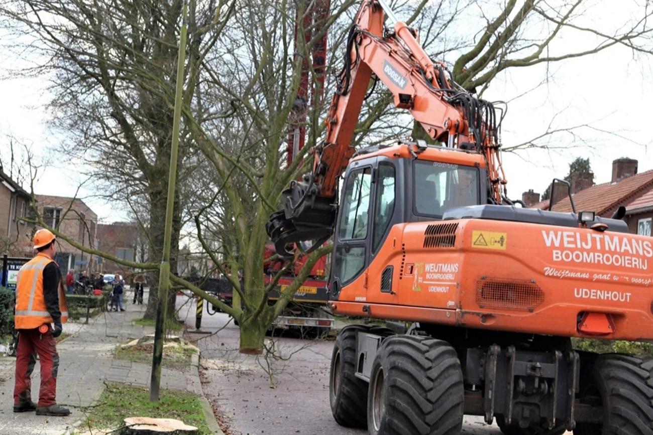‘Iepen saneren moet volgens protocol gebeuren: veiligheiden gezondheid ...